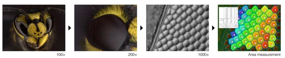 Laboratory Microscope | KEYENCE International Belgium